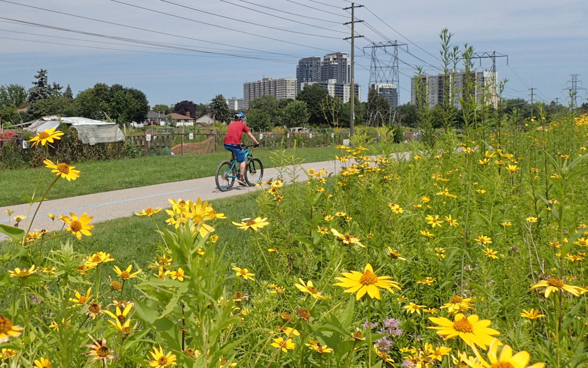 Meadoway - Park Trail - Ontario Bike Trails